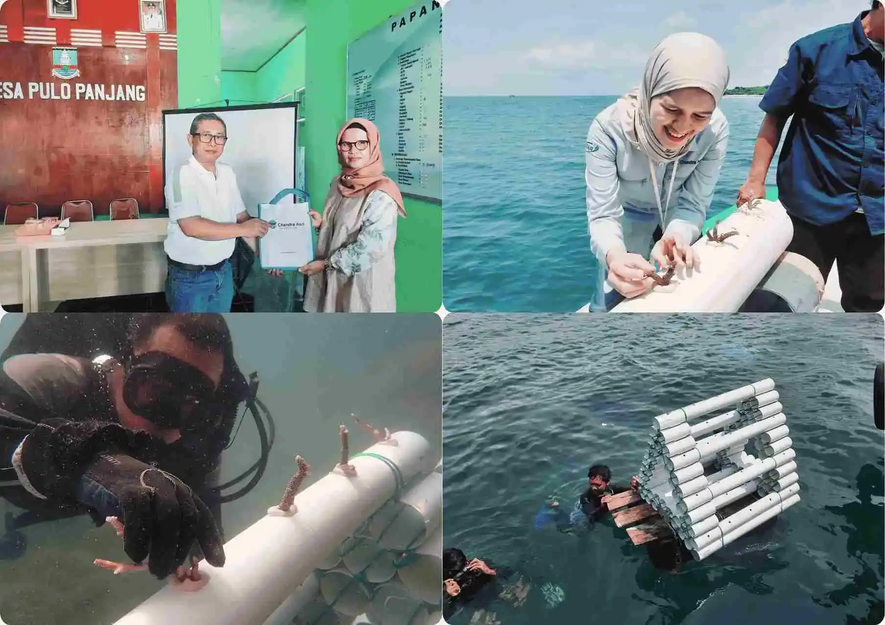 Chandra Asri Group Contribution with Dissemination and Coral Transplantation in Fish Apartment ...