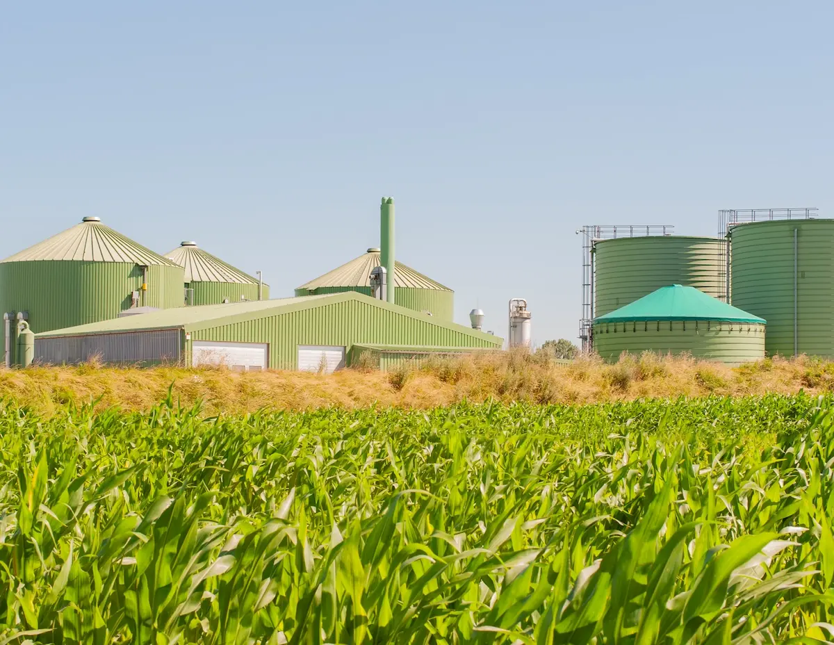 What Is Biogas? Benefits and Examples You Must Know | Chandra Asri