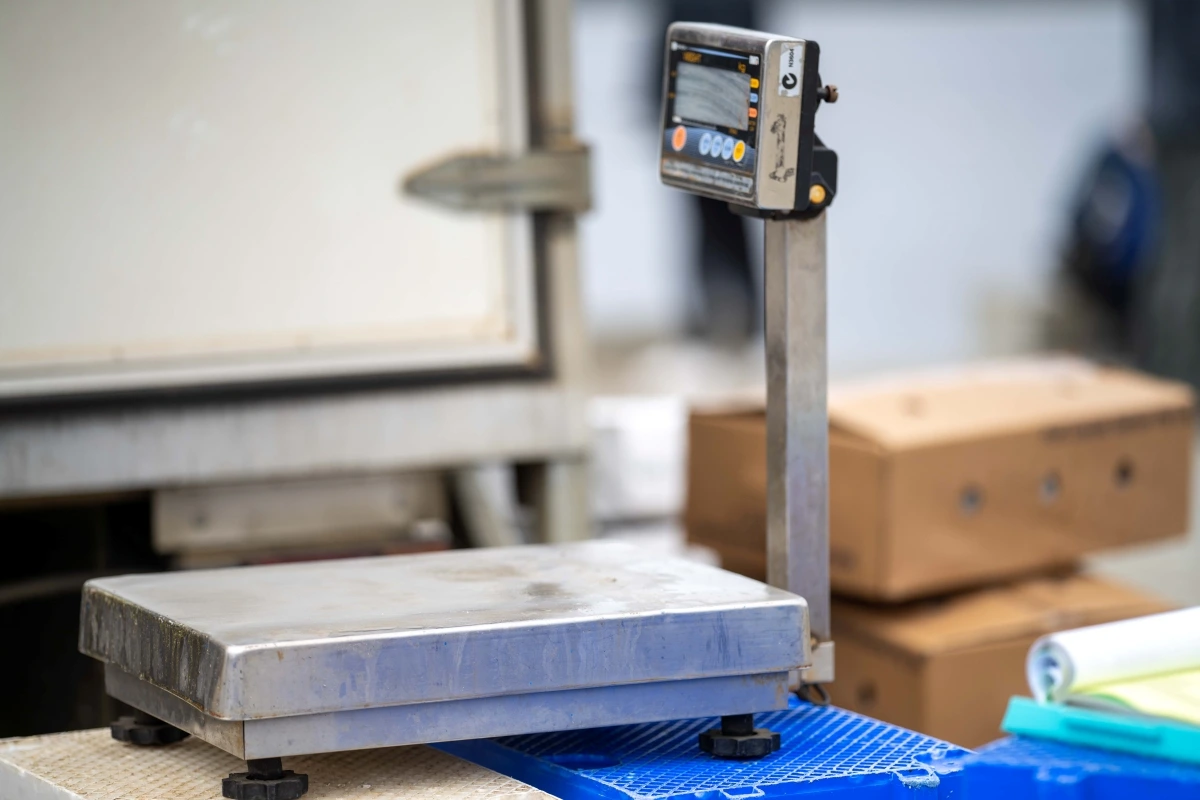 What Is Gross Weight? Here Is How to Calculate It! | Chandra Asri