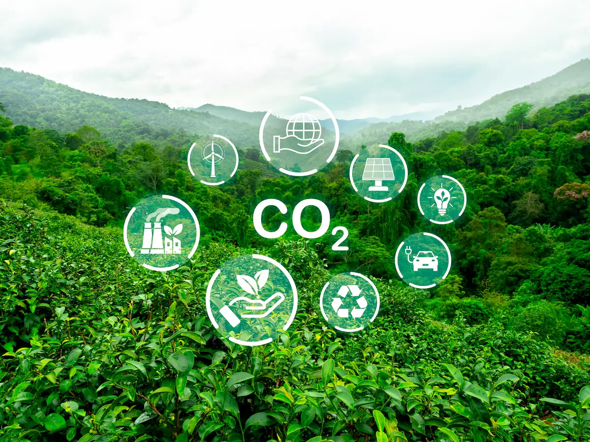 Get to Know Decarbonization: Aim, Benefit, and Example | Chandra Asri